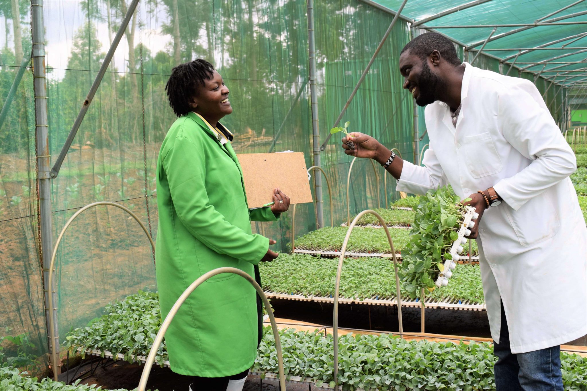 Truvalu | Accelerating growth of local businesses for fair development